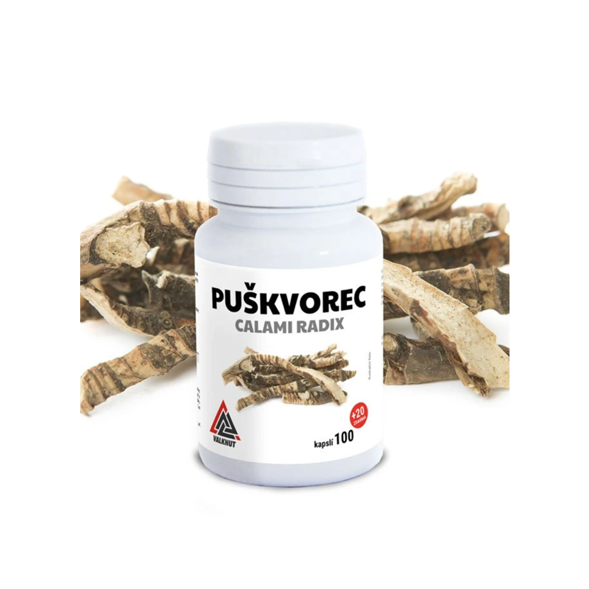 Puškvorec Obyčajný Koreň - Kapsule 100 ks (Acorus calamus) | Vivat ...